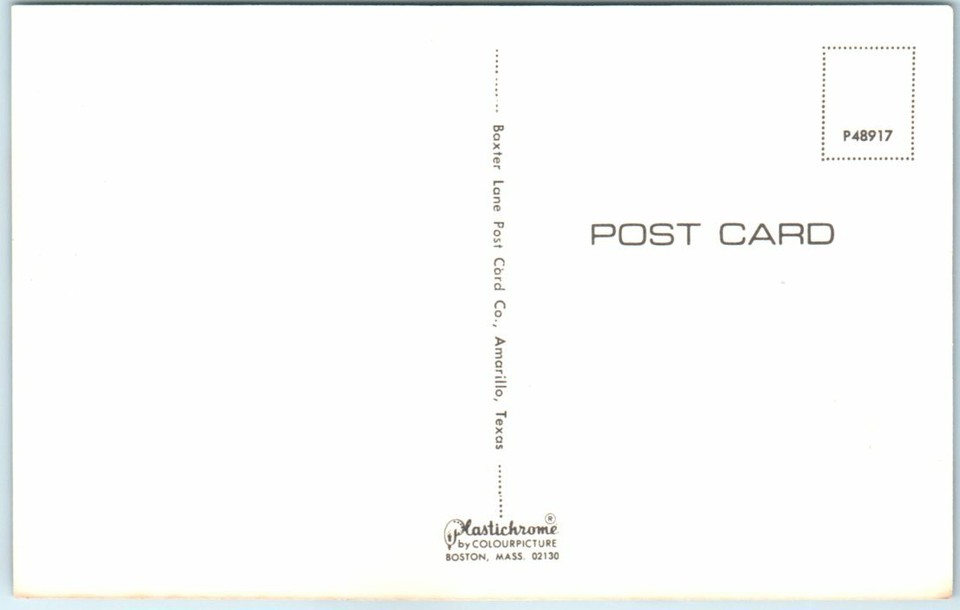 Postcard - Hello from Texas - The Lone Star State | eBay