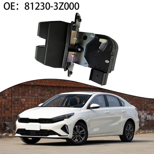 Premium ABS Metal Trunk Latch Lid Lock Actuator for Hyundai For Santa ...