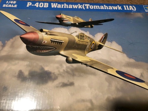 TRUMPETER 1/48 P-40B WARHAWK (TOMAHAWK IIA) SEALED MODEL KIT 02807 | eBay