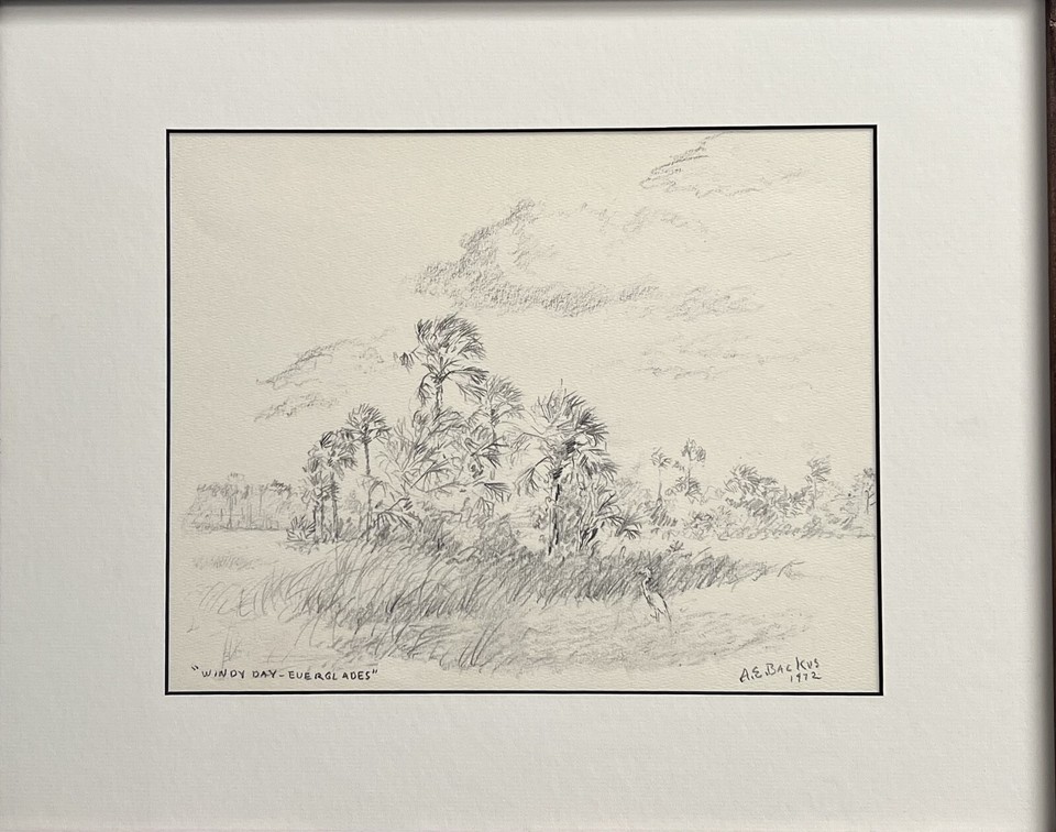 RARE A.E. BACKUS FLORIDA SKETCH ON PAPER"WINDY DAY EVERGLADES" FRAMED ...