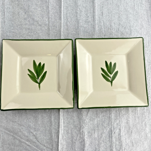 Ceramic Snack Plates Square Beige With Green Plant 5x5” Set Of 2 STL ...