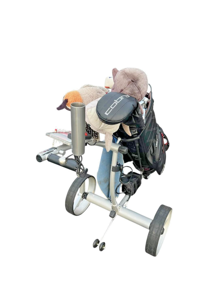 PIERCE PGC Aluminum Lithium 54 Hole Remote Control Electric Golf Cart ...