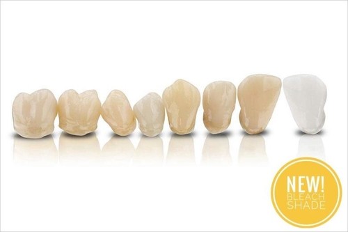 BEGO VarseoSmile Crown Plus 3D printing Dental Resin- Permanent Crowns ...