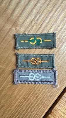 1950 British/UK Commonwealth Silver Wolf/Silver Acorn/Long Service ...