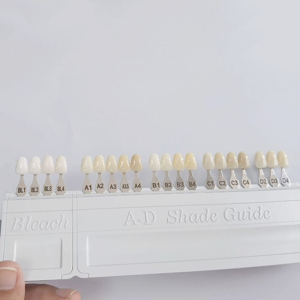 lvoclar Vivadent Dental Teeth Shade Guides A-D 20 Colors Porcelain ...