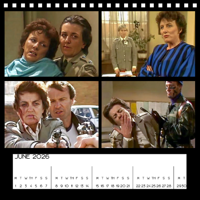 3 x Prisoner Cell Block H 2026 Calendar Bundle - Final Sale! | eBay UK