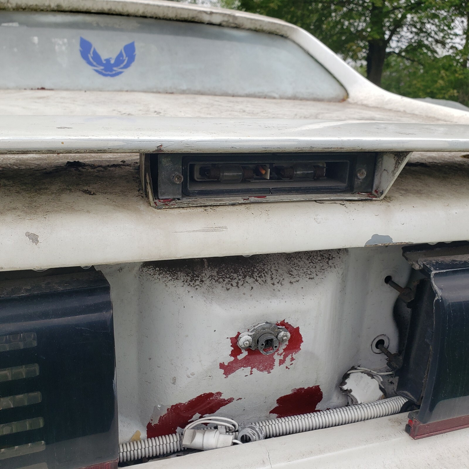 82-92 trans am gta firebird notchback hatch camaro z28 iroc z RARE RARE ...