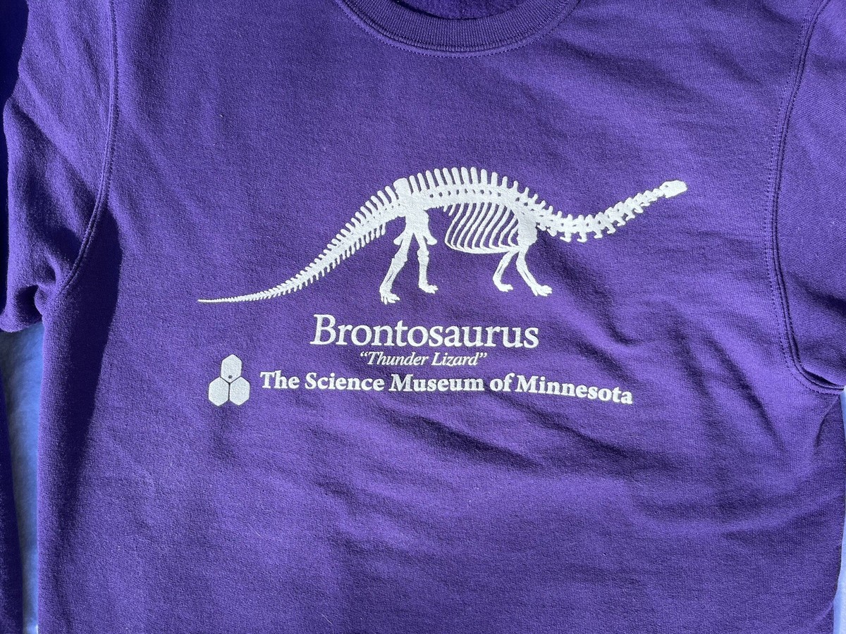 Dinosaur Shirt Stranger Things T Shirts | Stranger Things Surfer Boy