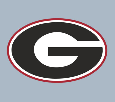 Car Magnet - Georgia Bulldogs College Football NCAA - MAGNET | eBay