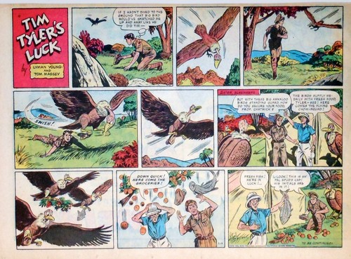 Tim Tyler's Luck by Young - large half-page color Sunday comic - Feb ...