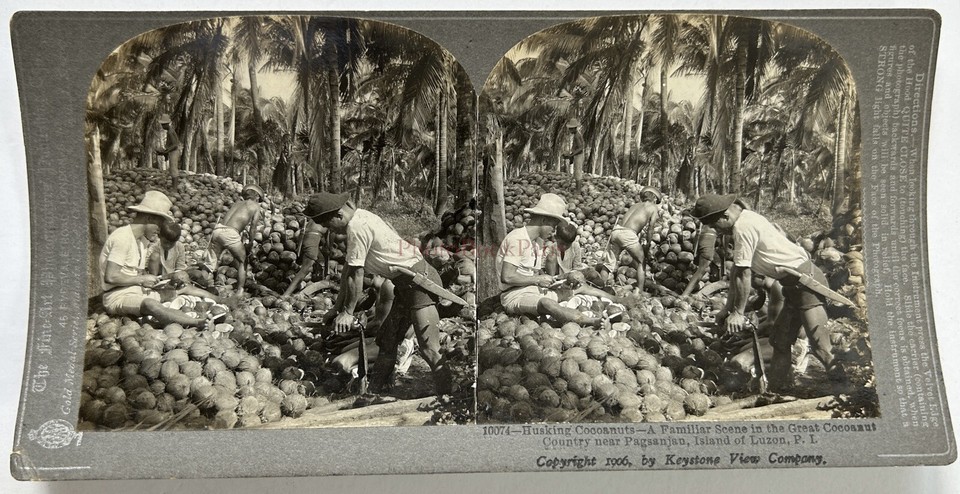 Philippines Island Luzon Bowl Washing Nuts Coco 1906 Photo Stereo ...