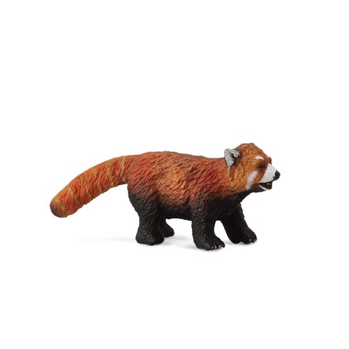 CollectA Realistic Animal Replica Red Panda Figure Medium Ages 3 Years ...