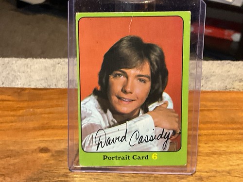 Partridge Family Green Border 1971 Puzzle/Card #6 - 83B DAVID CASSIDY ...