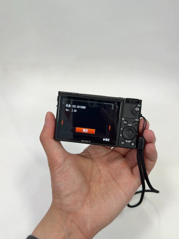 Sony Cyber-shot RX100 V RX100M5 Digital Camera 20.1MP with Flip Screen ...