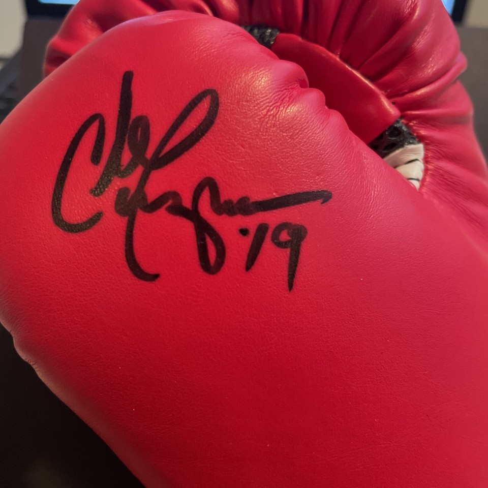 Marvelous Marvin Hagler Right Hand Painted Everlast Glove By Chris ...