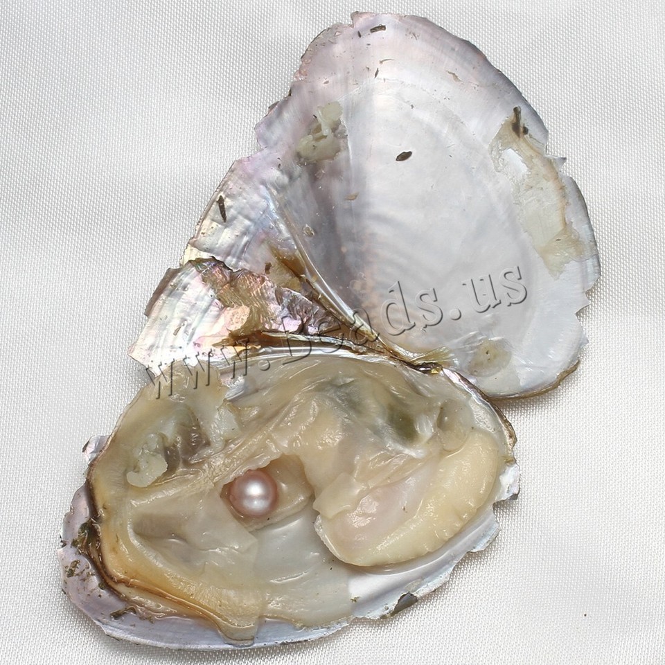 10pcs Akoya Pearl Oysters Real Pearl 7-8mm Freshwater Pearl Holiday ...