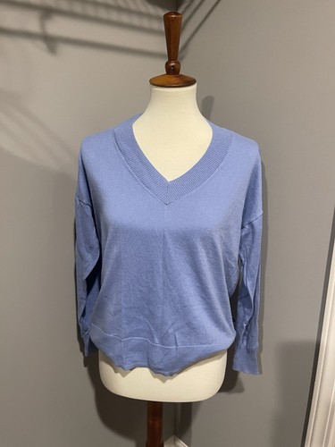 Gap V Neck Powder Blue Sweater Women’s Size M | eBay