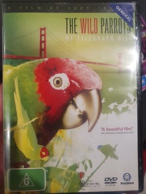 THE WILD PARROTS OF TELEGRAPH HILL RARE DVD HOMELESS WILDLIFE ...