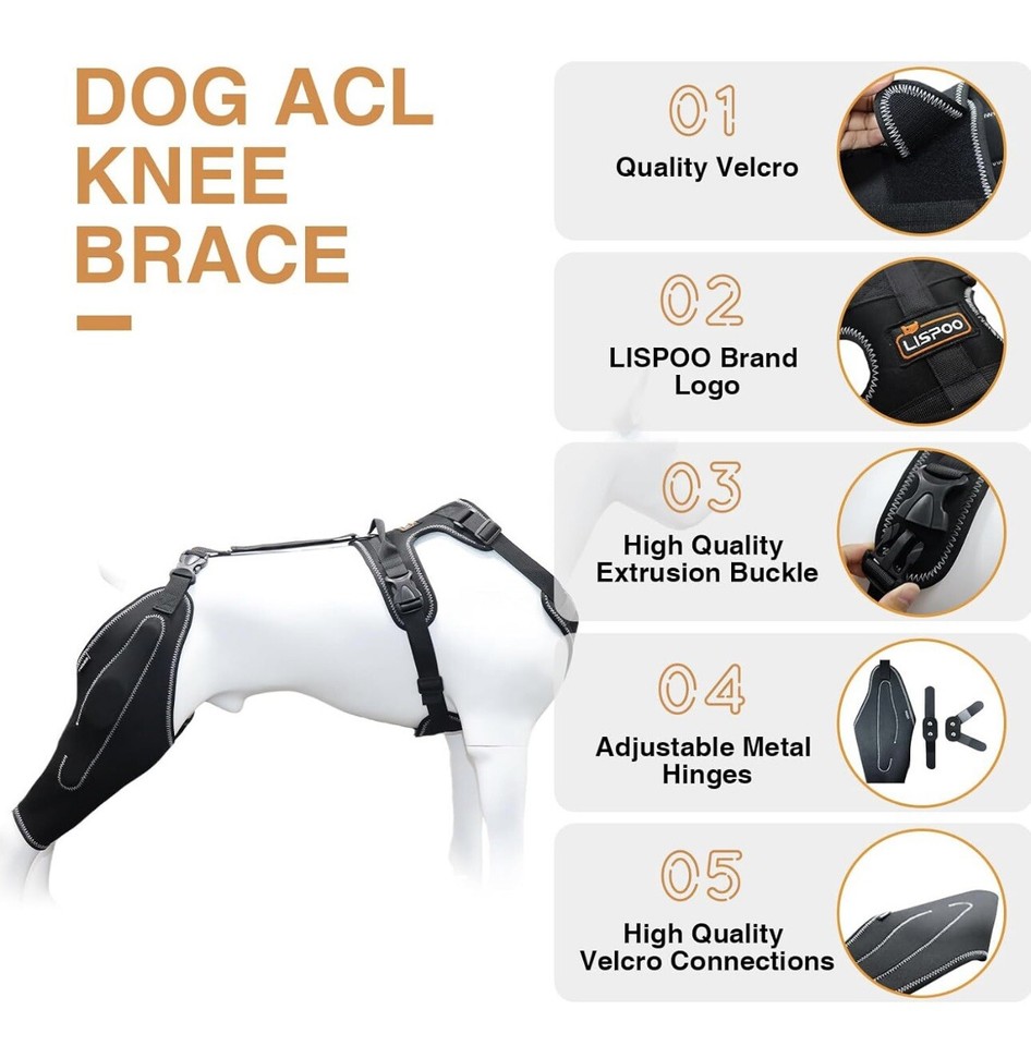 Lispoo Right Leg Dog Knee Brace for Torn Acl Hind Leg,luxating Patella ...