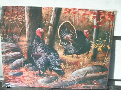 Wild Turkeys in the Woods Metal Sign 16X12 New | eBay