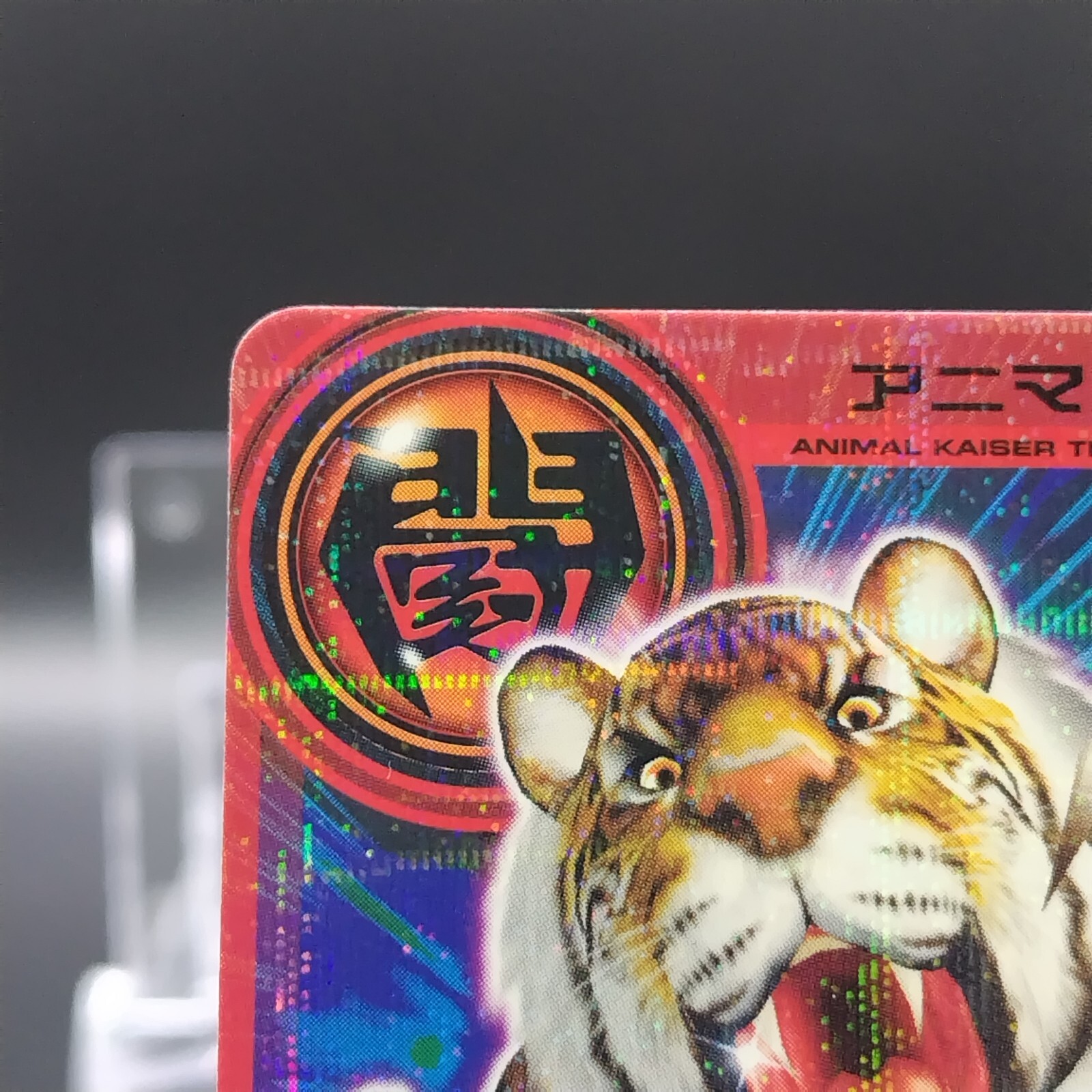 Panthera tigris tigris Animal kaiser Holo Card Japanese 2008 BANDAI ...
