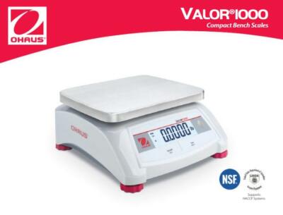 Scales - 30Lb Capacity