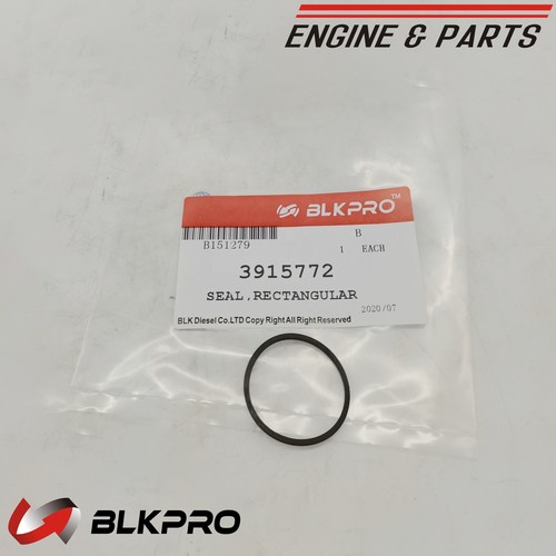 New SEAL RECTANGULAR RING For Dodge Cummins 89-98 6B 6C 4B 3915772 | eBay
