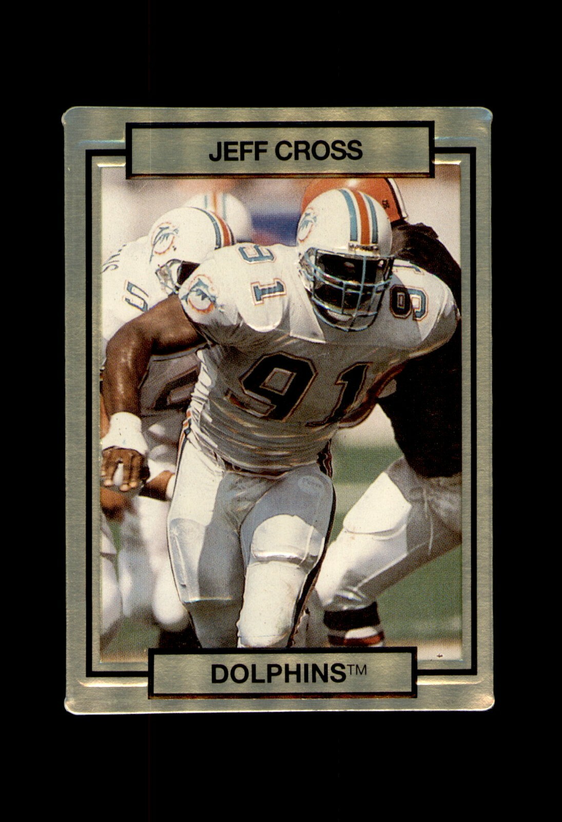 Jeff Cross Dolphins