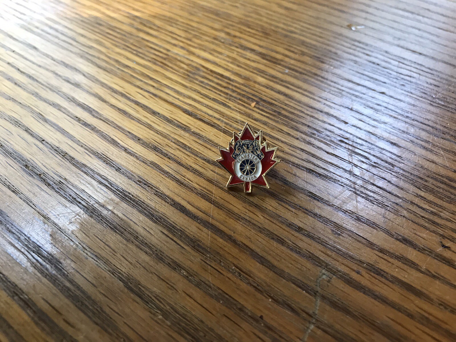 Vintage Canada Teamster Pin | eBay