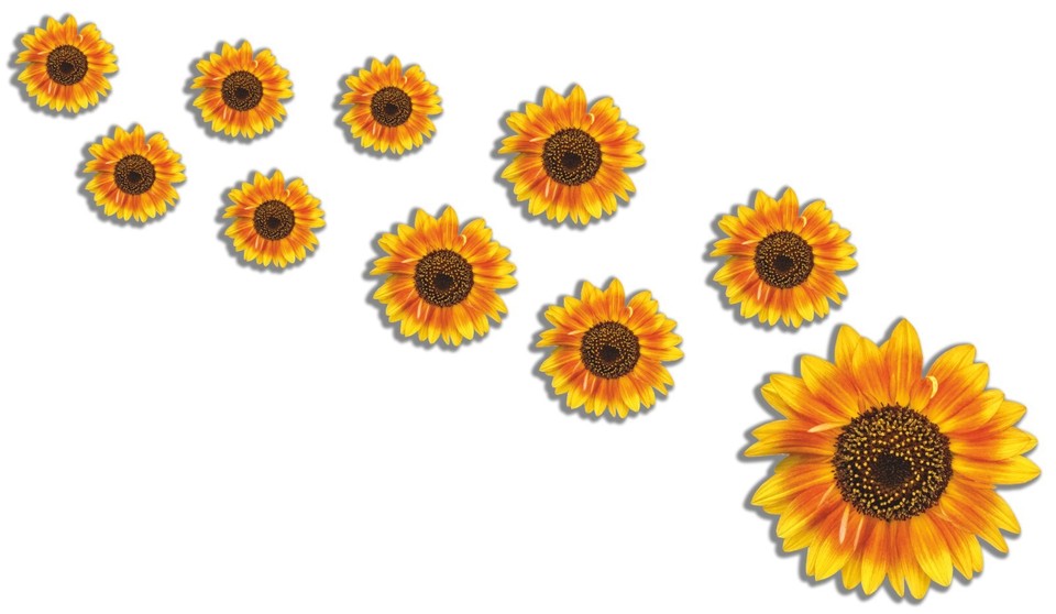 SunFlower Car Stickers Graphics Nursery Wall Window Decorations Art ...
