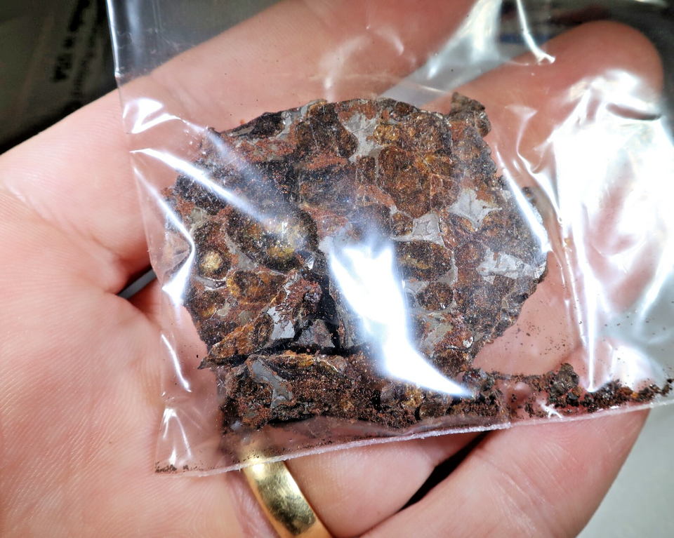 28.4 Grams Pallasite Metorite Slice + Dust /Crumbles Damaged Genuine | eBay