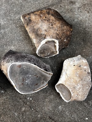 25 + Lbs Large Pedernales Amoeba CHERT Stone Flint Knapping Arrowhead | eBay