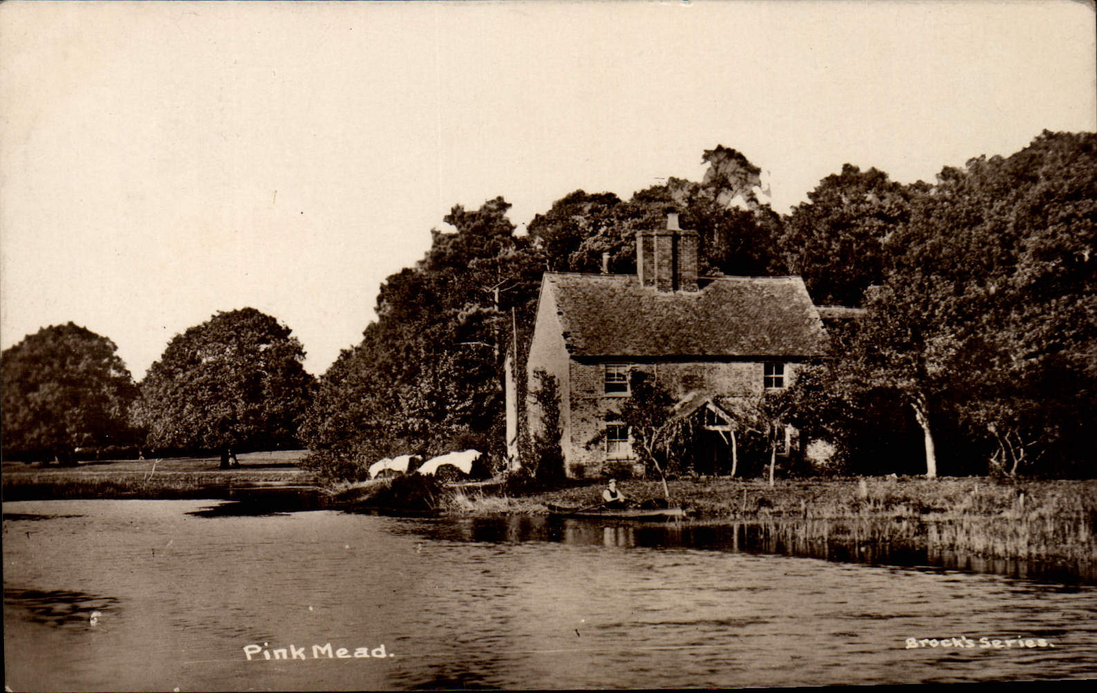 Pink Mead near Botley in Brock's Series. | eBay UK