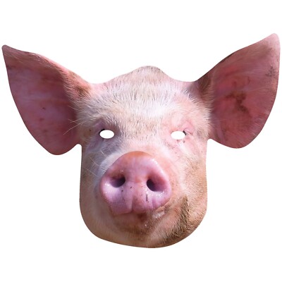 Pig Animal 2D Single Card Party Mask - World Book Day Farmyard Piggy ...