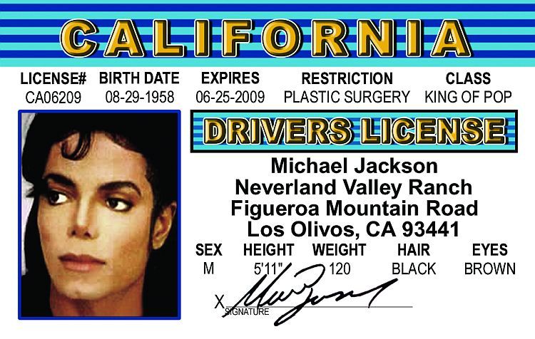 MICHAEL JACKSON CALIFORNIA DRIVER'S LICENSE NOVELTY PLASTIC CARD ...