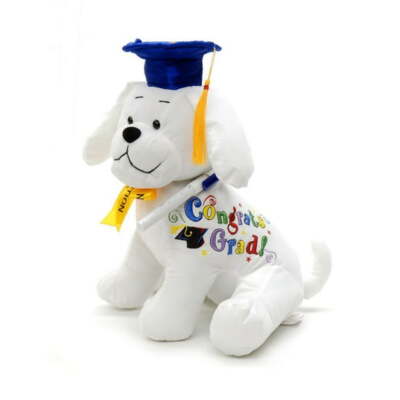 Graduation Autograph Hound Dog Toys Grad Students Gift Toys Party w ...