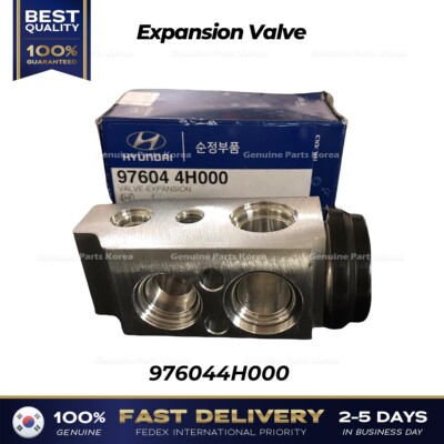 ⭐Genuine⭐ Expansion Valve 976044H000 for Hyundai H1 Grand Starex | eBay