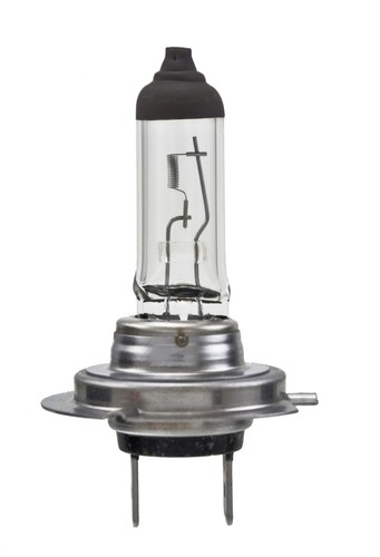 Headlight Bulb for A5 Quattro, A6, A6 Quattro, Q5, Q7, S5, SQ5, 230i ...