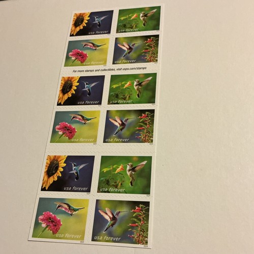 USA Forever Stamps Sheet Hummingbirds Flowers Mint Never Hinged Multi ...
