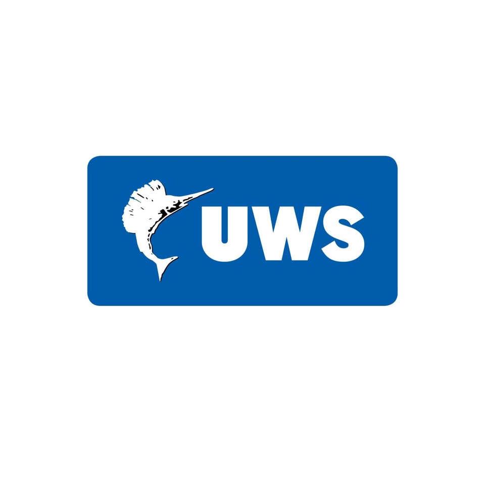 UWS UWS-CARRIER Universal Silver Aluminum Hitch Cargo Carrier fits 2 ...