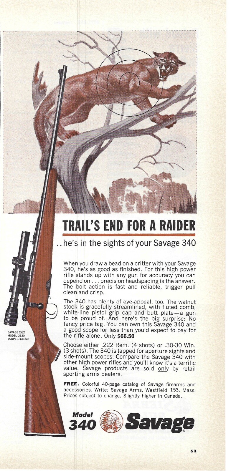 1964 Savage Model 340 Bolt Action Rifle Mountain Lion Cougar Vtg Print ...