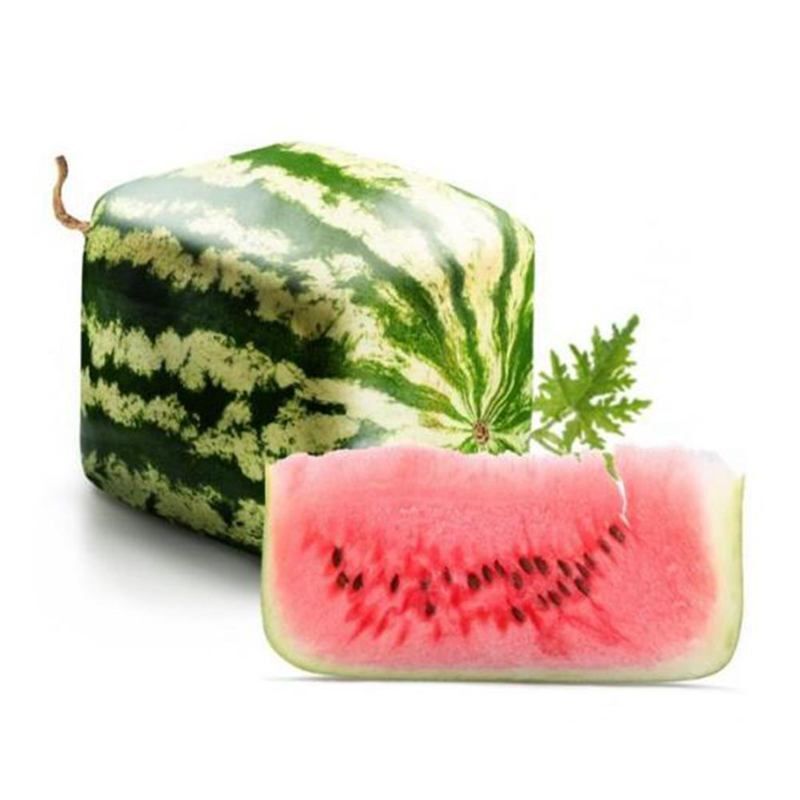 Square Watermelon Seeds