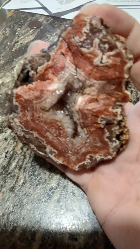 Rare! Montana dryhead agate geode Amazing fortifications collectors ...
