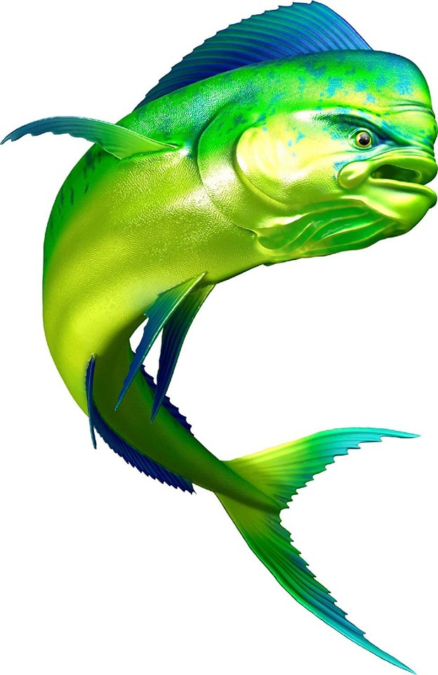 Mahi Mahi Beautiful Vinyl Sticker Fish Decals for Boat Car Vehicle ...