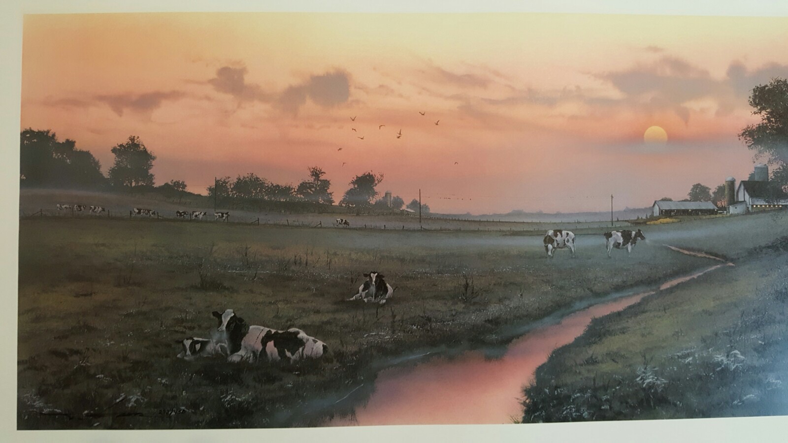 Tim Liess "Morning Unveiled" Limited Edition Print #273/450 | eBay