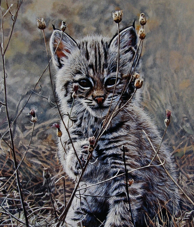 Terry Issac, "Peek A Boo", poster, 16"h x 12"w image, 19"h x 13"w ...