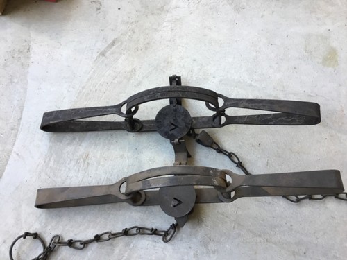 victor #4 long spring traps | eBay