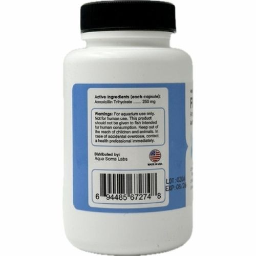 FOR FISH Aquariums & FISH Tanks Fix AMoxil 250mg/100 CT capsules | eBay