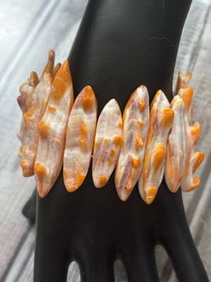 Spiny Oyster Shell Spondylus Stretch Bracelet 7 Inches Orange and ...