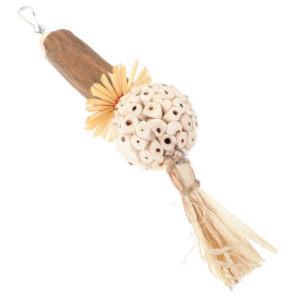 Parrot Chewing Toy Bird Cage Wooden Fish Hanging Decor Parrot Biting ...